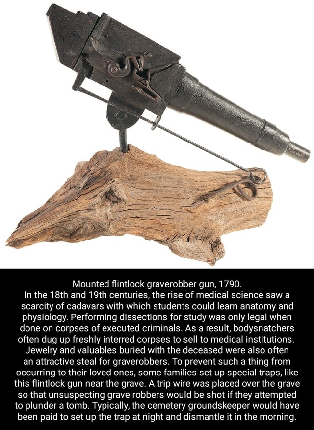 Mounted flintlock graverobber gun, 1790. In the 18th and 19th centuries ...