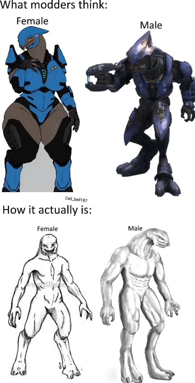 What modders think: Female Male How it actually is: Female Male - iFunny