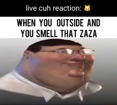 Live cuh reaction WHEN YOU OUTSIDE AND YOU SMELL THAT ZAZA - iFunny