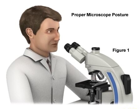 Proper Microscope Posture - iFunny