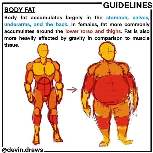 GUIDELINES BODY FAT Body fat accumulates largely in the stomach, calves ...