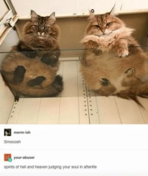 Merm-ish Smooosh your-abuser spirits of hell and heaven judging your ...