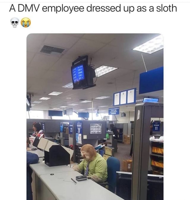 A DMV employee dressed up as a sloth es I - iFunny