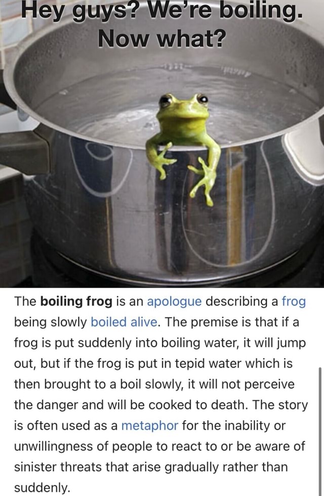 GUYS? WeTS Now what? The boiling frog is an apologue describing a frog ...
