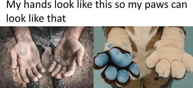 My hands look like this so my paws can look like that - iFunny