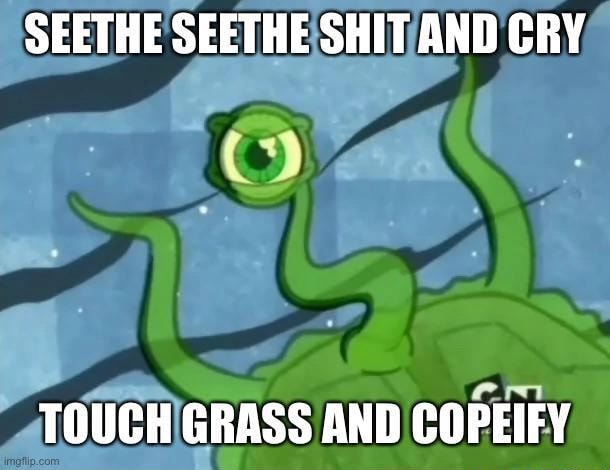 SEETHE SEETHE SHIT AND CRY TOUCH GRASS AND COPEIFY - iFunny