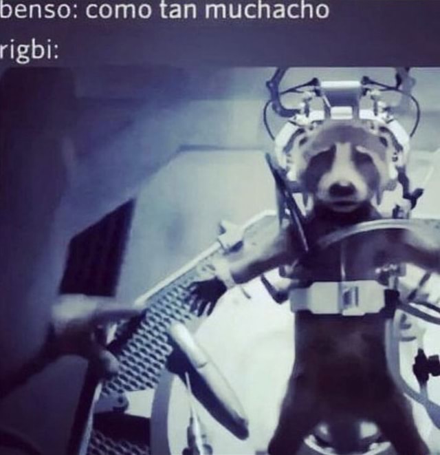 Denso: como tan muchacho rig bi: - iFunny