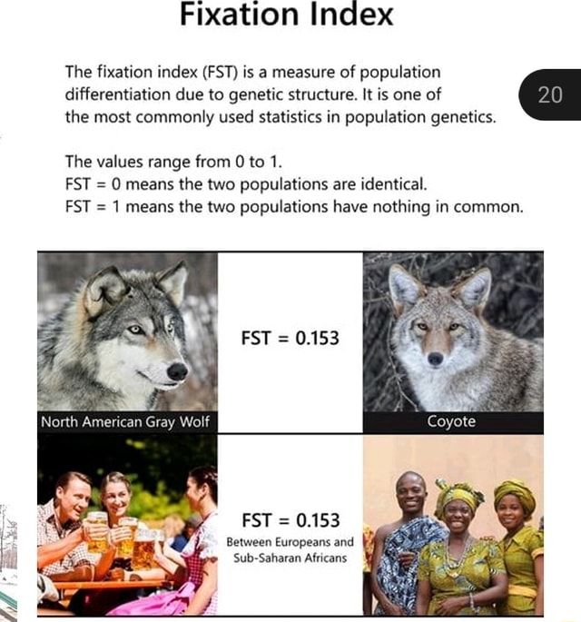 Fixation Index The fixation index (FST) is a measure of population ...