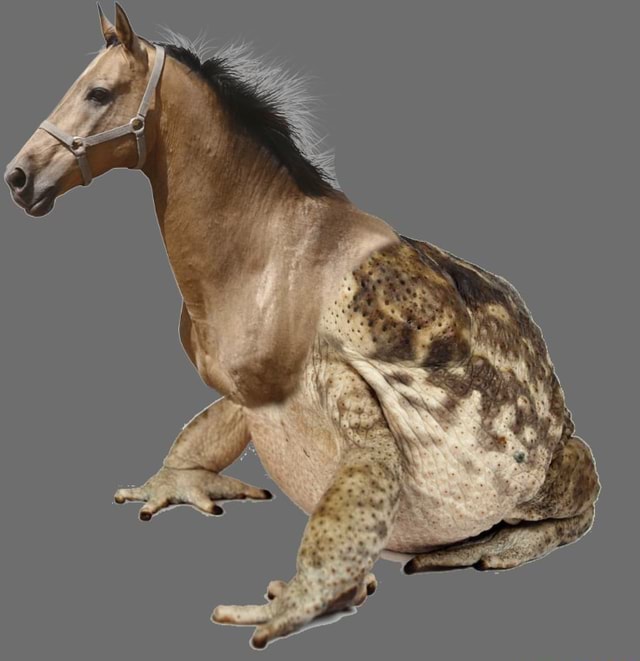 Reverse centaur toad - iFunny