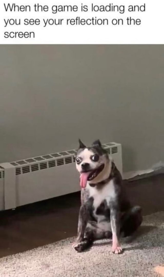When the game is loading and you see your reflection on the screen - iFunny
