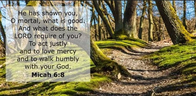 He has shown you, mortal, what is good. And what does the LORD require ...