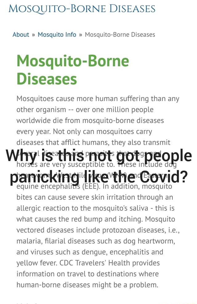 MOSQUITO-BORNE DISEASES About " Mosquito Info " Mosquito-Borne Diseases ...