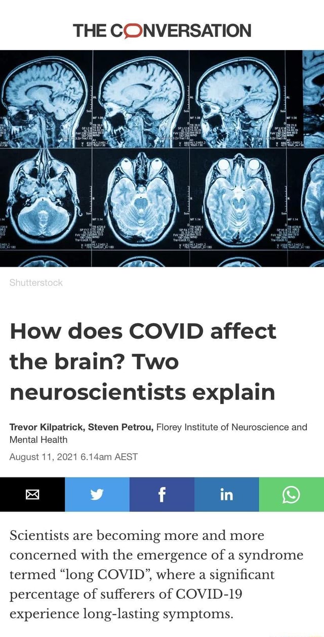 THE CONVERSATION Shutterstock How does COVID affect the brain? Two ...