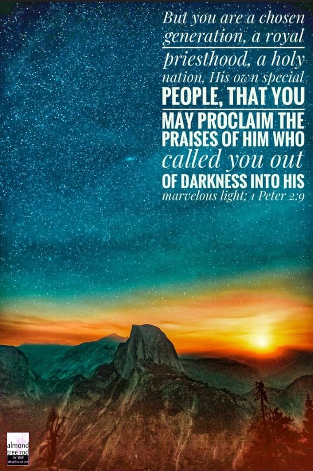 But you are a chosen generation, a royal priesthood, a holy "nation ...