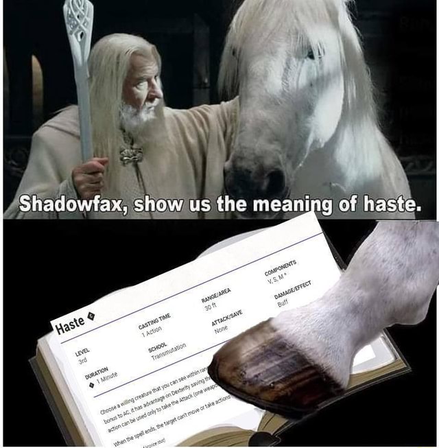 Fresh DND meme - Shadowfax, show us the meaning of haste. - iFunny