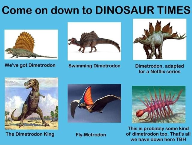 Come on down to DINOSAUR TIMES We've got Dimetrodon Swimming Dimetrodon ...