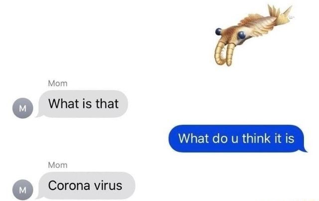 Mom What is that What do u think it is Mom Corona virus - iFunny