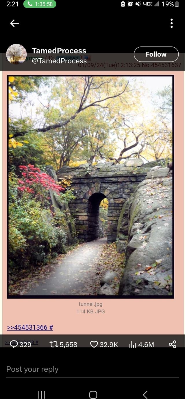 TamedProcess @TamedProcess >>454531366 # Post your reply II O