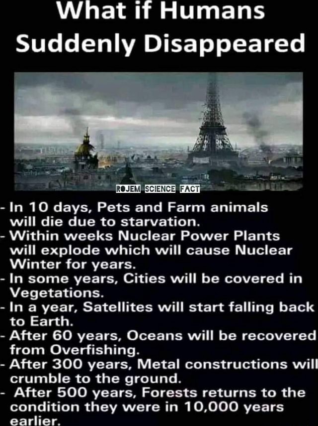 What if Humans Suddenly Disappeared AT -In 10 days, Pets and Farm ...