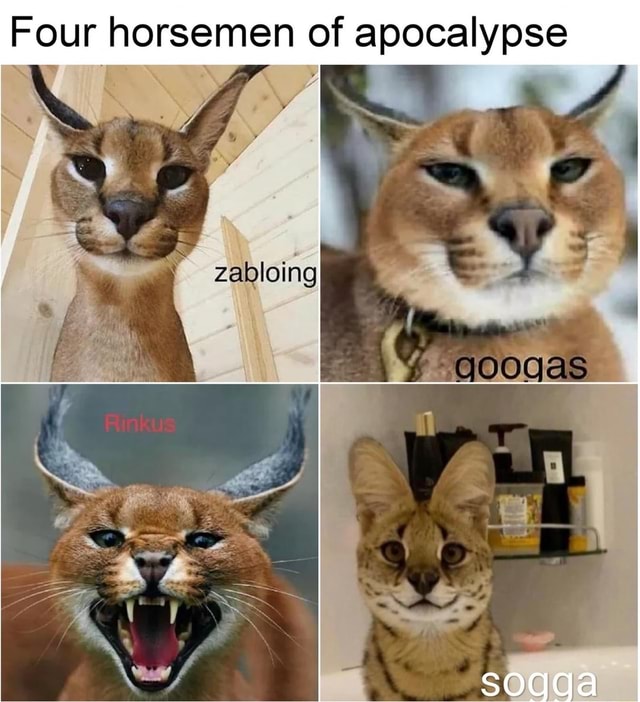 Four horsemen of apocalypse zabloing - iFunny