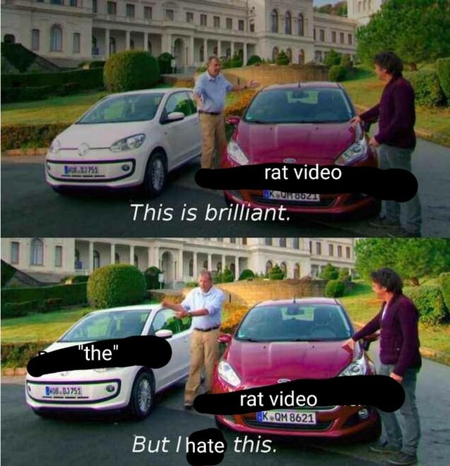 Rat video This is brilliant. rat video But /hate this. - iFunny