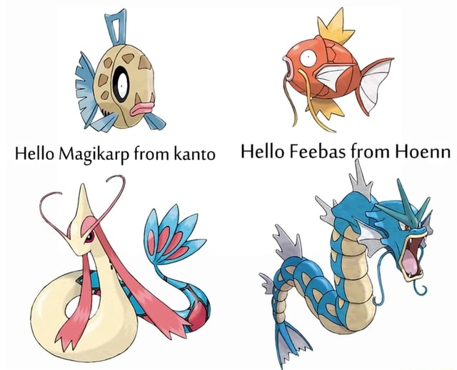 Hello Magikarp from kanto Hello Feebas from Hoenn - iFunny