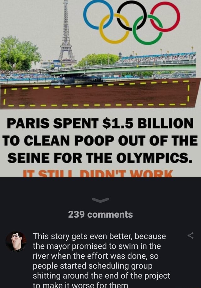 PARIS SPENT $1.5 BILLION TO CLEAN POOP OUT OF THE SEINE FOR THE ...