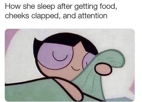 How she sleep after getting food, cheeks clapped, and attention - iFunny