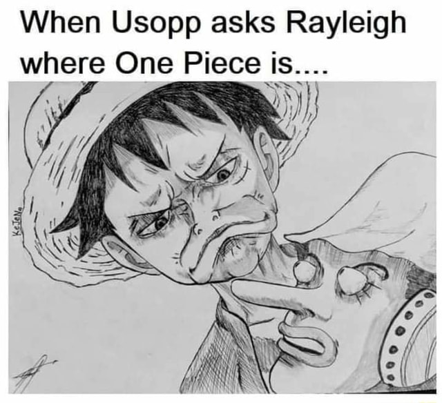 When Usopp asks Rayleigh where One Piece is.... - iFunny