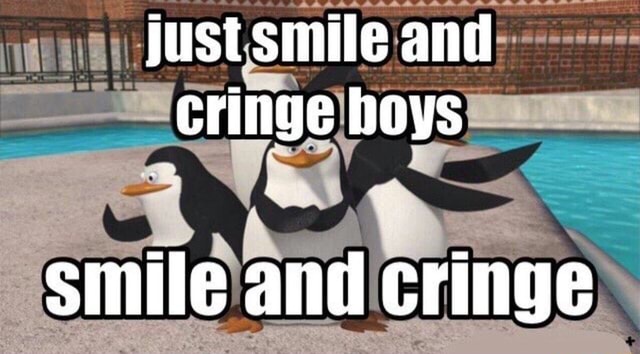 Just smile and cringe boys sinile and cringe - iFunny