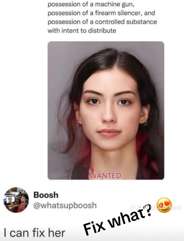 Possession of a machine gun, possession of a firearm silencer, and ...