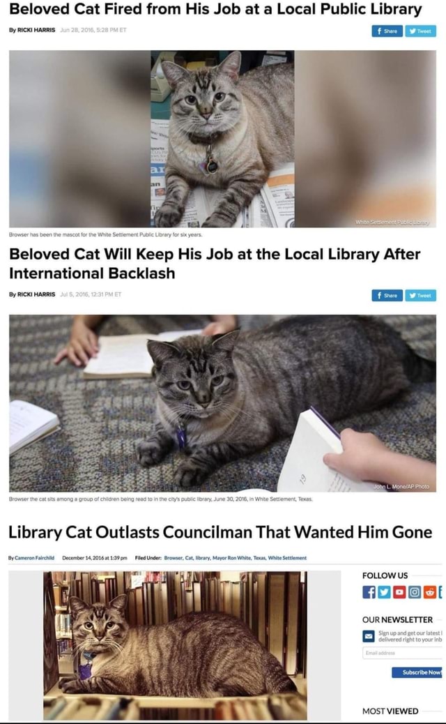Beloved Cat Fired from His Job at a Local Public Library uo- « "W! m ...
