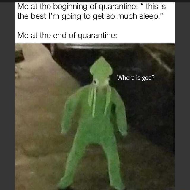 Me at the beginning of quarantine: " this is the best I'm going to get ...