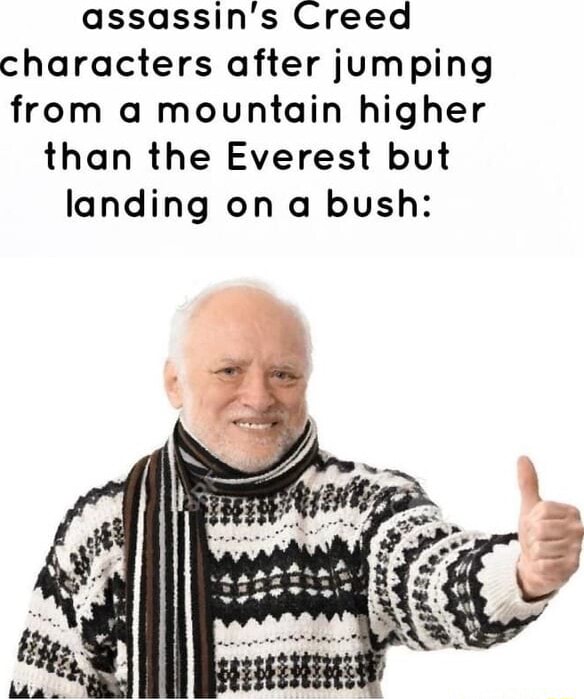 Assassin's Creed characters after jumping from a mountain higher than ...
