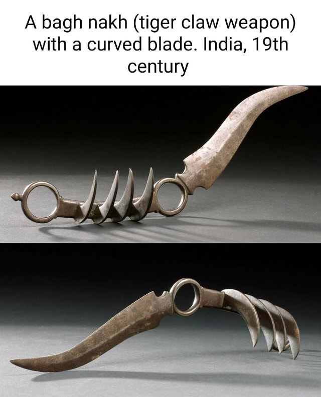 A bagh nakh (tiger claw weapon) with a curved blade. India, 19th ...