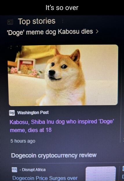 It's so over Top stories 'Doge' meme dog Kabosu dies > washington Post ...