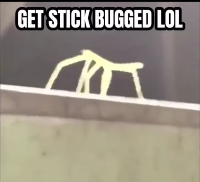 GET STICK BUGGED LOL Or - iFunny