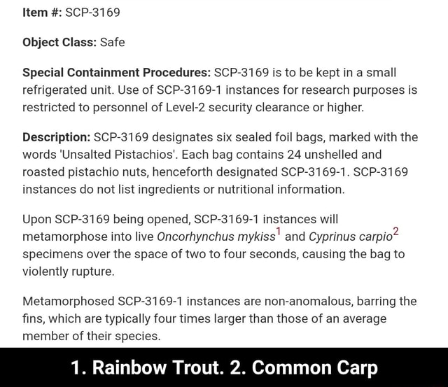Object Class: Safe Special Containment Procedures: SCP-3169 is to be ...