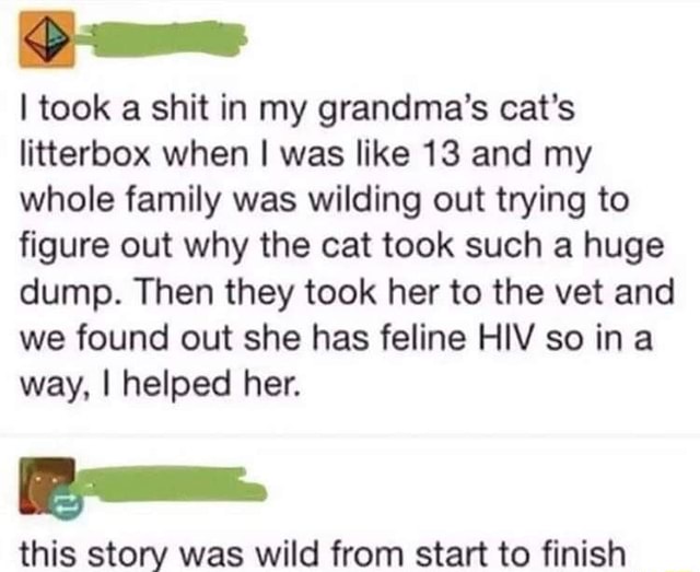 L- I took a shit in my grandma's cat's litterbox when I was like 13 and ...