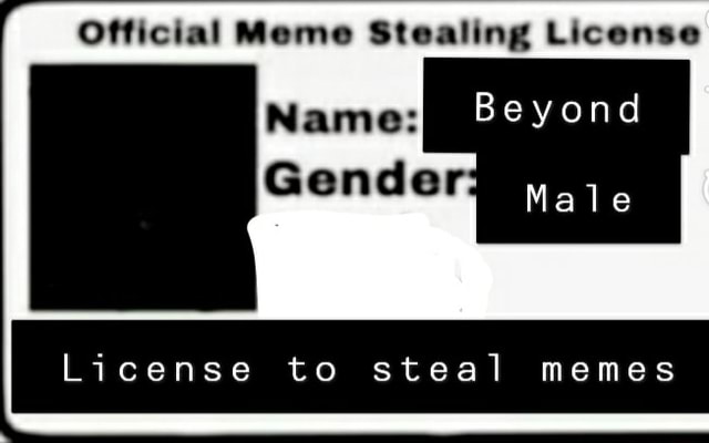 Official Meme Stealing License Name: Gender License to steal memes - iFunny