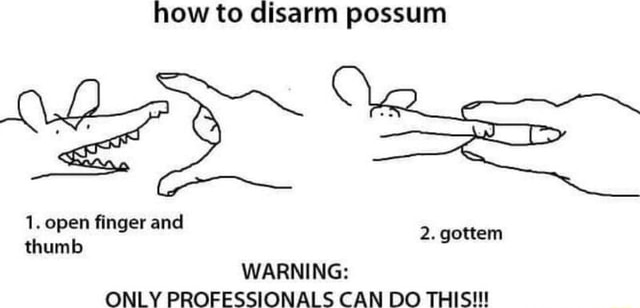 How to disarm possum 1. open finger and thumb 2. gottem WARNING: ONLY ...