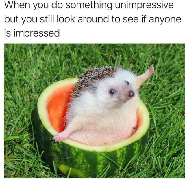 Meme dump - When you do something unimpressive but you still look ...