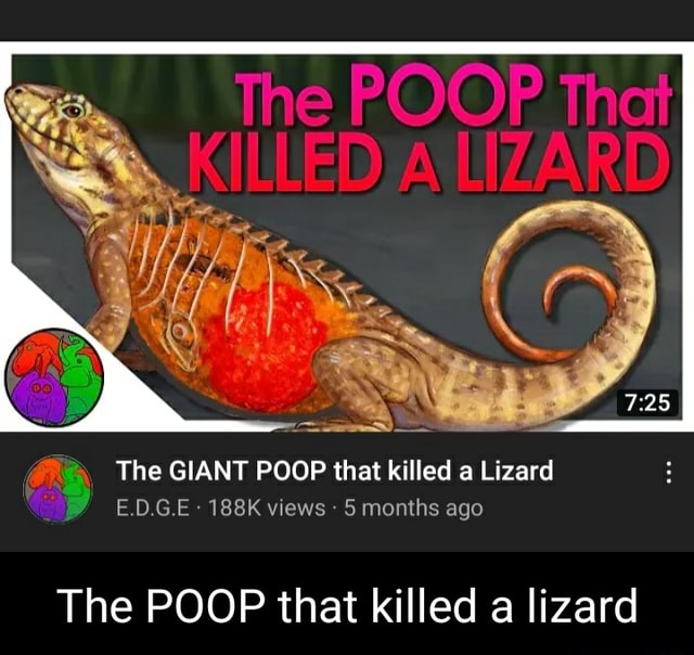 The A LARD The GIANT POOP that killed a Lizard E.D.G.E - 188K views - 5 ...
