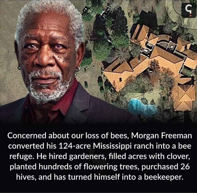 Concerned about our loss of bees, Morgan Freeman converted his 124 ...