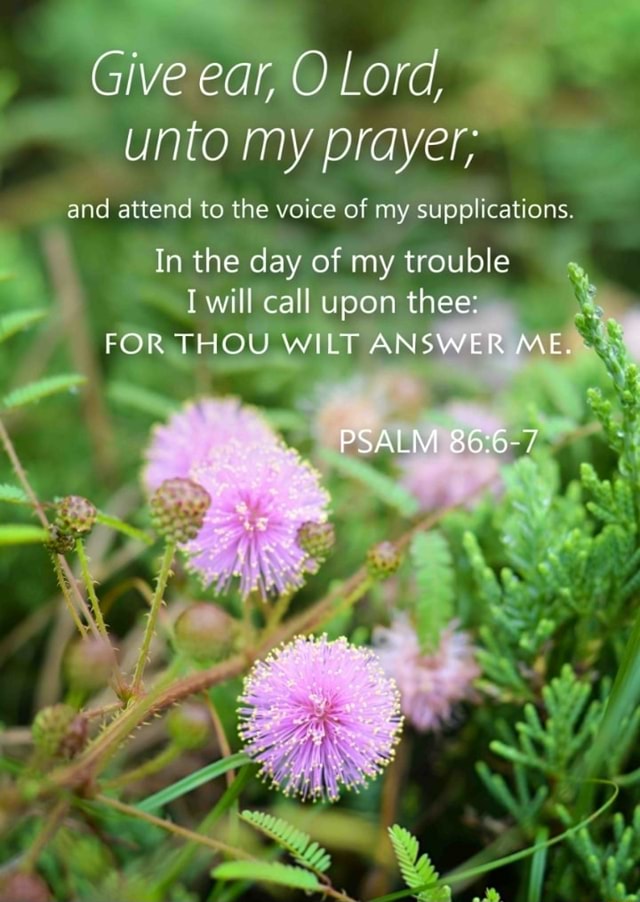 Give ear, O Lord, unto my prayer, and attend to the voice of my ...
