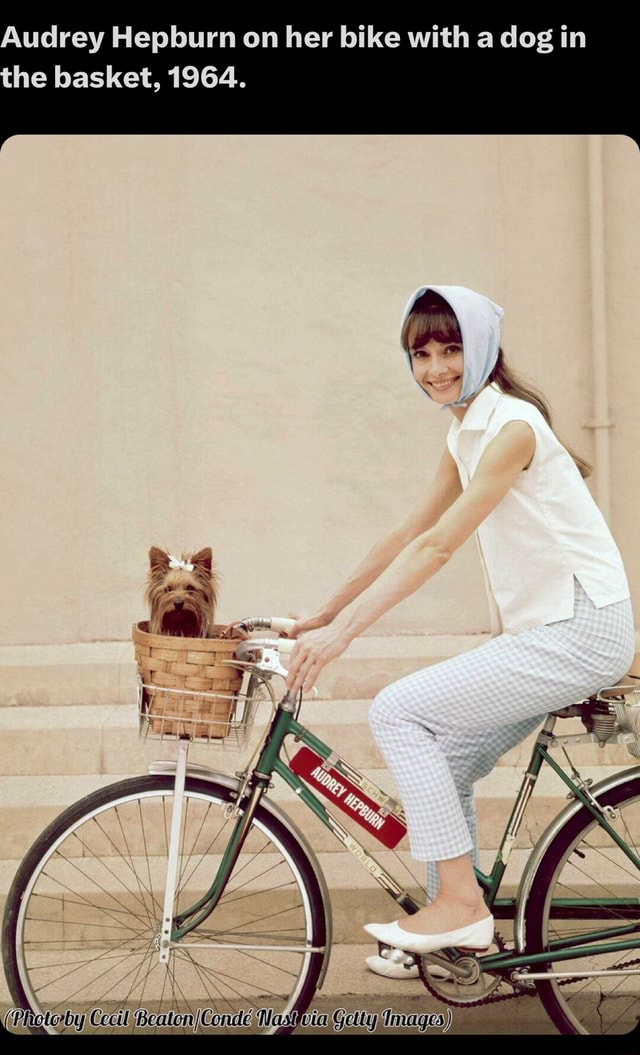 Audrey Hepburn on her bike with a dog in he basket, 1964. - iFunny