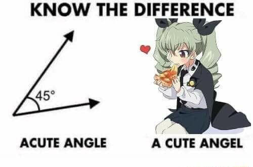 KNOW THE DIFFERENCE ACUTE ANGLE A CUTE ANGEL - iFunny