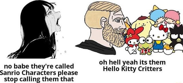 Oh hell yeah its them no babe they're called Sanrio Characters please ...