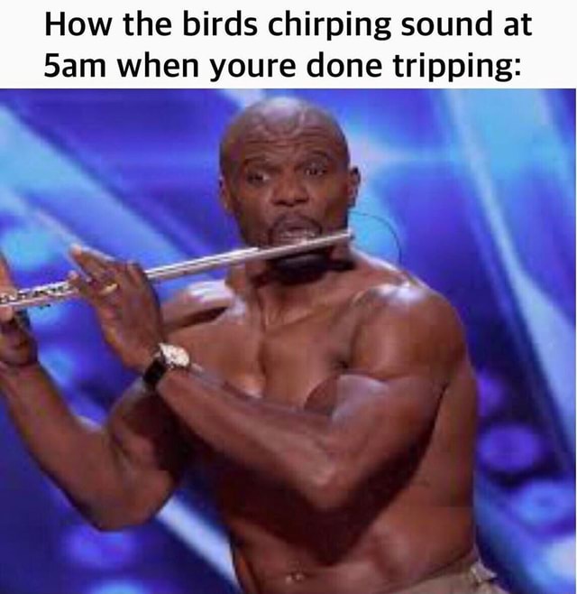 How the birds chirping sound at 5am when youre done tripping: - iFunny