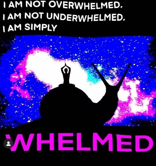 AM NOT OVERWHELMED. AM NOT UNDERWHELMED. AM SIMPLY 3WHELMED - iFunny